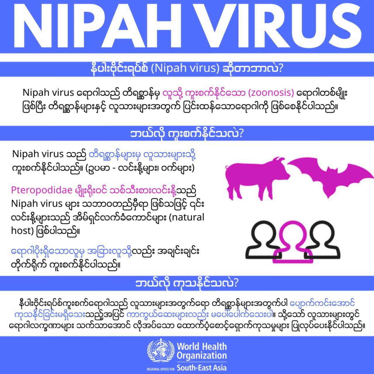 No Nipah virus cases in Myanmar – One News Myanmar