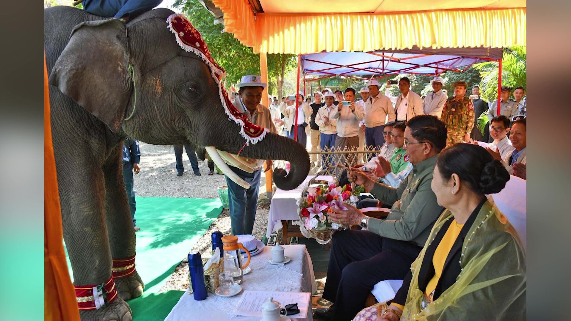 Elephant Museum opens at Mann Chaung Elephant Camp Resort – One News ...